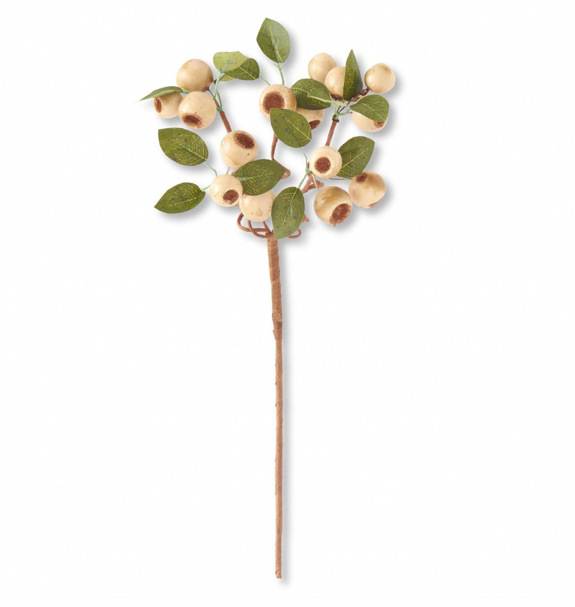 Cream Pod Stem with Green Leaves (Local pickup only) – The Salvaged ...